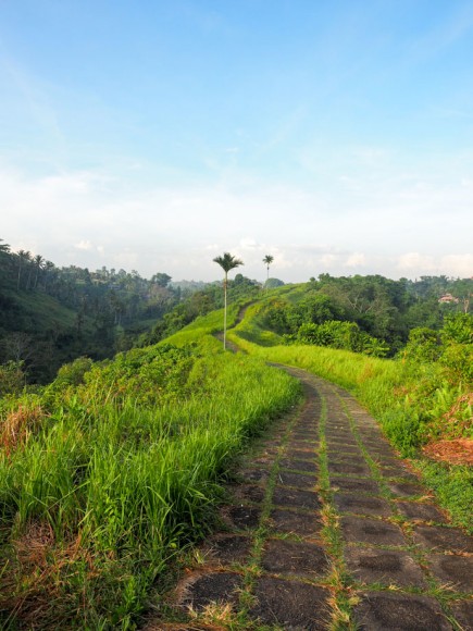 How to Get to the Campuhan Ridge Walk Ubud And What to Expect | Almost ...