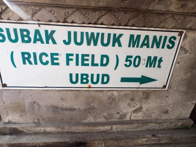 Walks In Ubud: Experience the Natural Side to Bali | Almost Landing - Bali