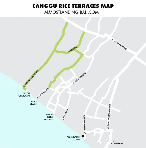 Canggu Rice Fields: A Pocket Of Real Bali | Almost Landing - Bali