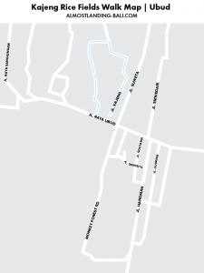 Kajeng Rice Fields Walk Ubud | Best Things To Do In Ubud Bali | Almost ...