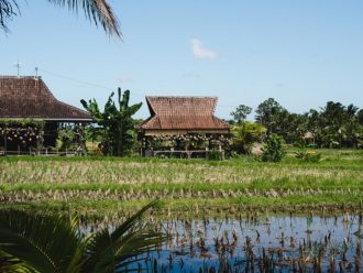 Kajeng Rice Fields Walk Ubud | Best Things To Do In Ubud Bali | Almost ...