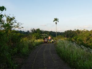 How to Get to the Campuhan Ridge Walk Ubud And What to Expect | Almost ...